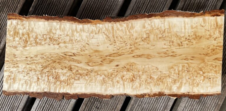 Exotic wood blanks - Curlybirchwood - Curly birch wood